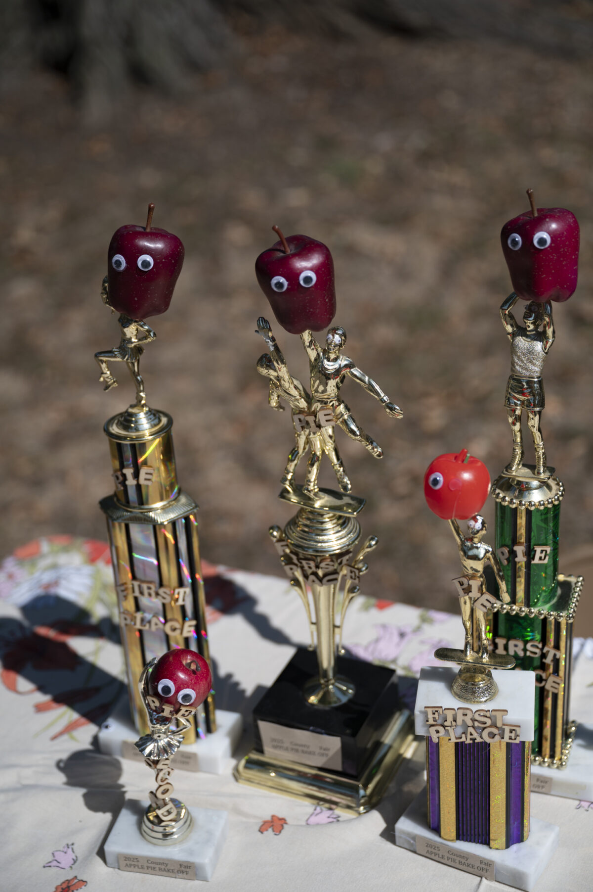 The 2025 Pittsburgh County Fair - Pittsburgh City Paper | News, Dining ...